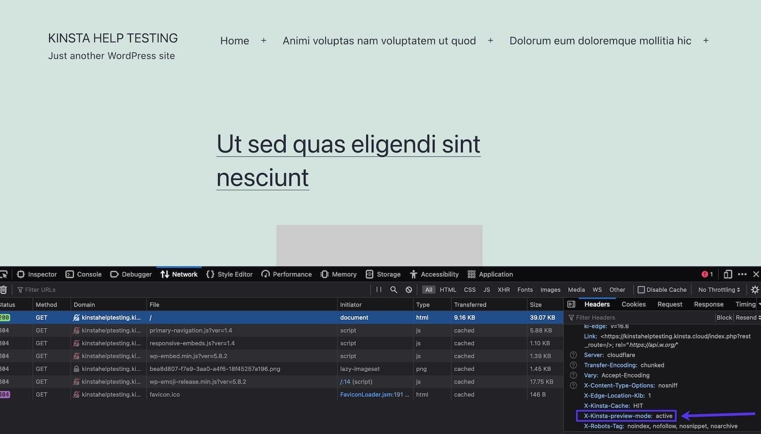 Tools - Site Preview - Kinsta® Docs