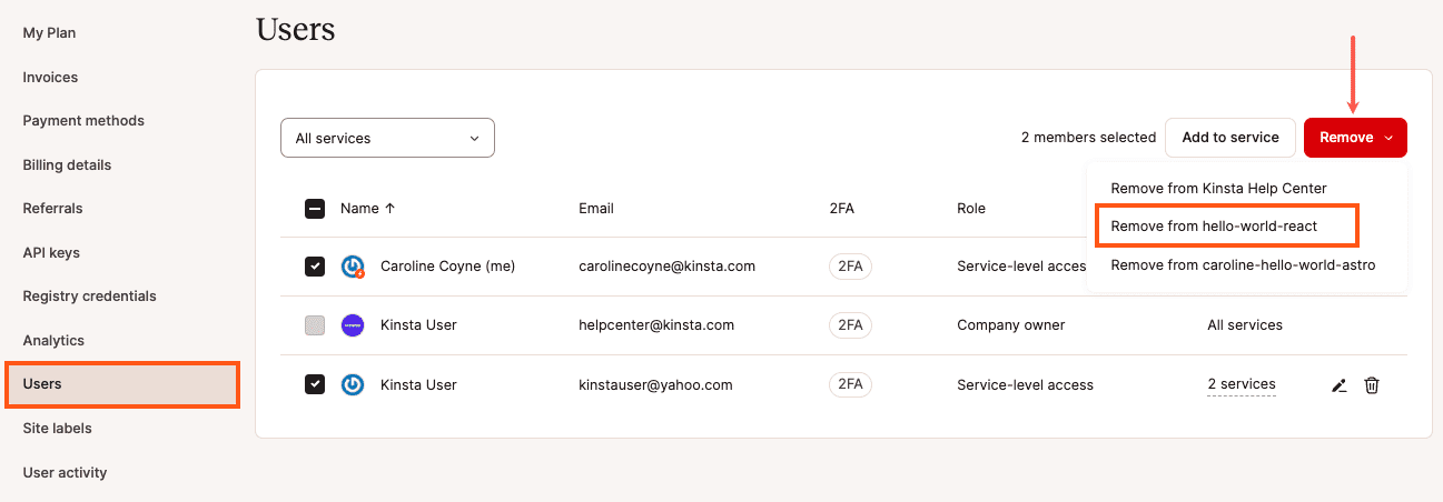 Company Settings - User Management - Kinsta® Docs