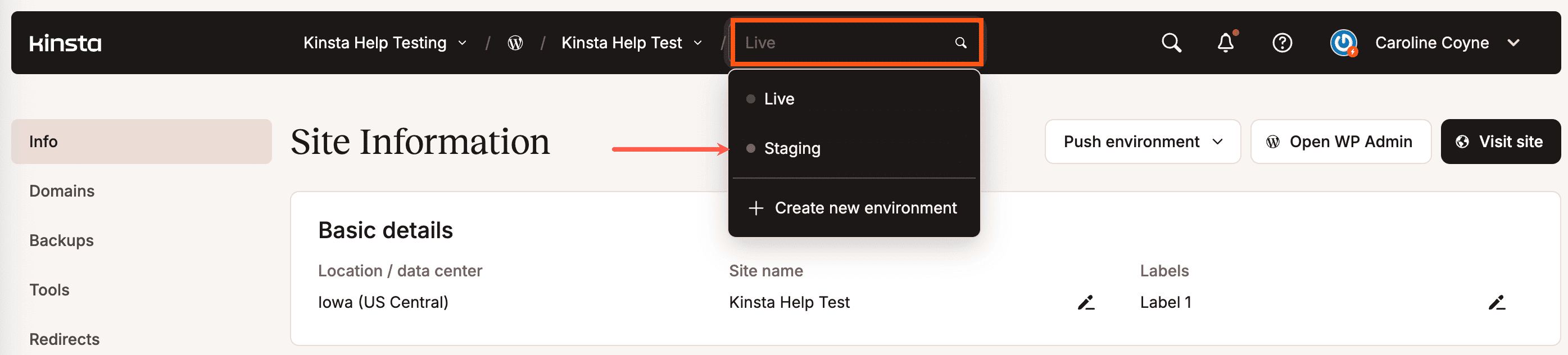 WordPress Hosting - Staging Environments - Kinsta® Docs