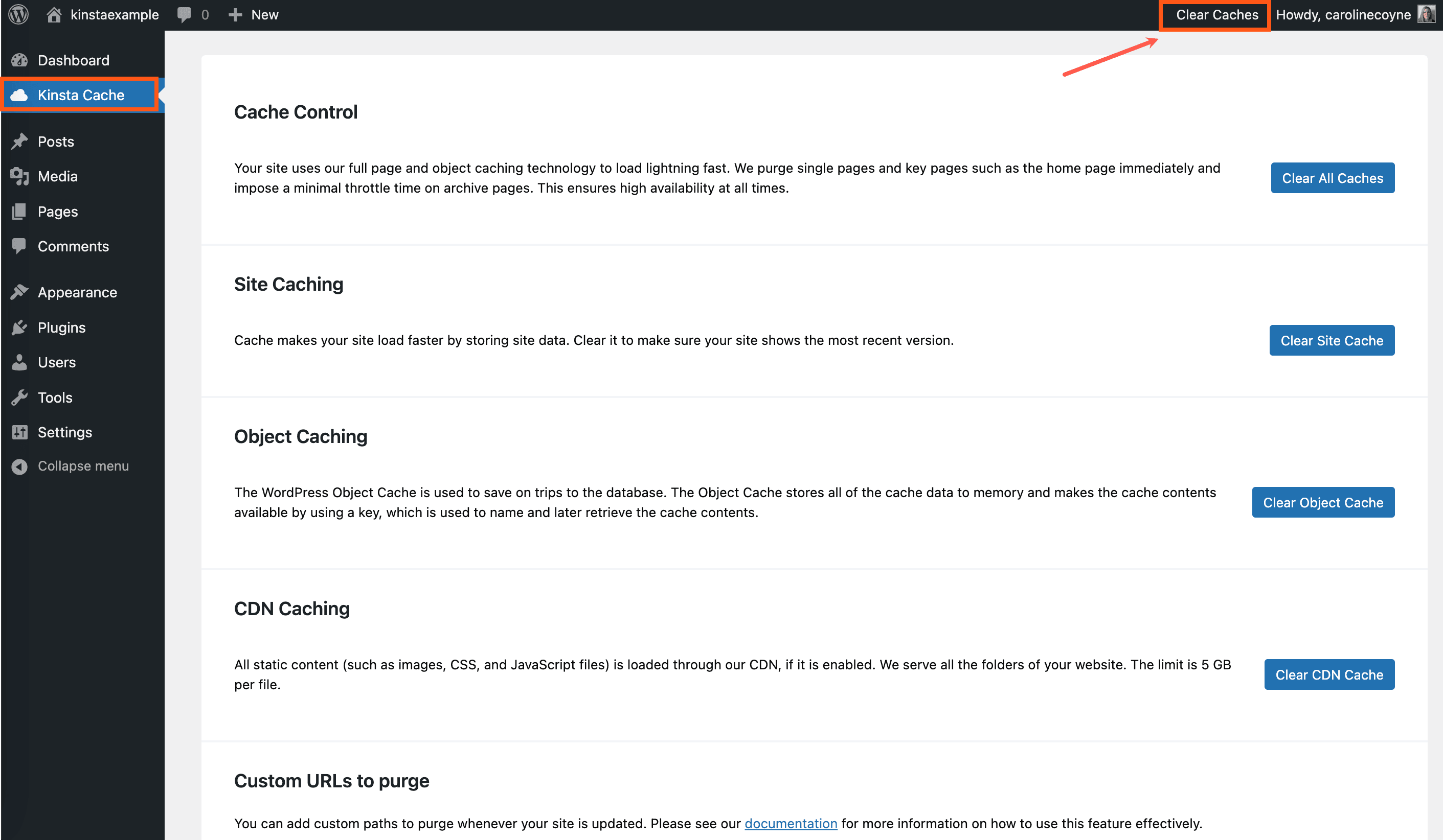 WordPress Hosting - Must Use (MU) Plugin - Kinsta® Docs