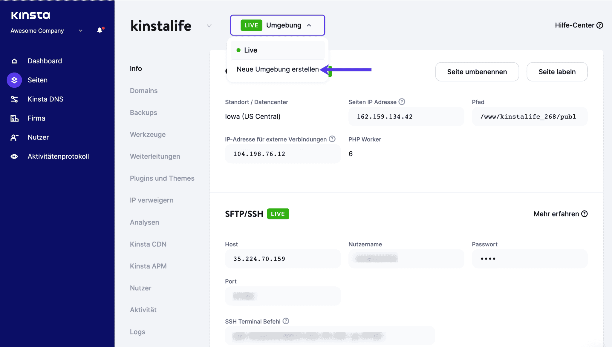 Wie man einen effektiven WordPress-Workflow für Entwickler erstellt