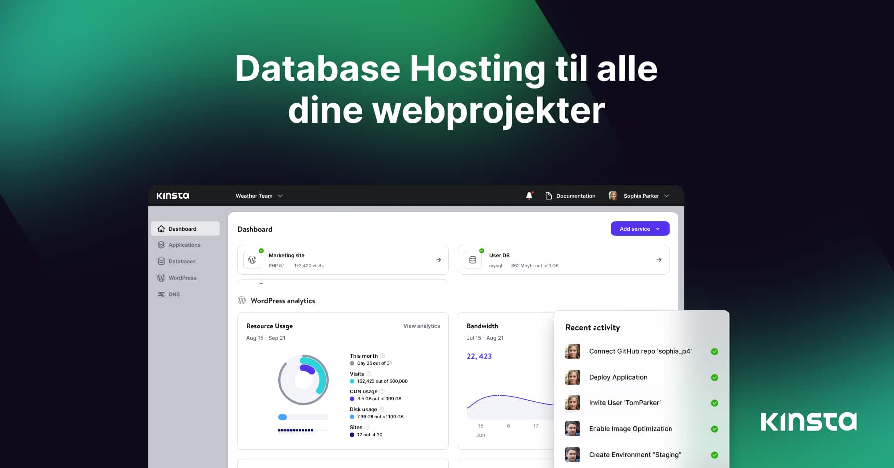 Databasehosting til alle dine webprojekter - Kinsta®