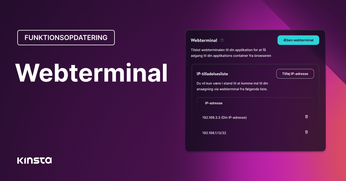 Få kommandolinjeadgang med webterminal - Kinsta®