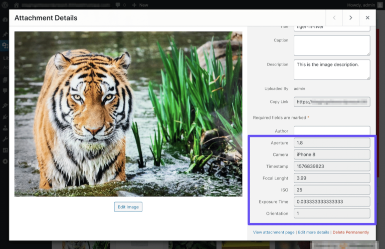 Guía sobre la biblioteca multimedia de WordPress (4 trucos incluidas)