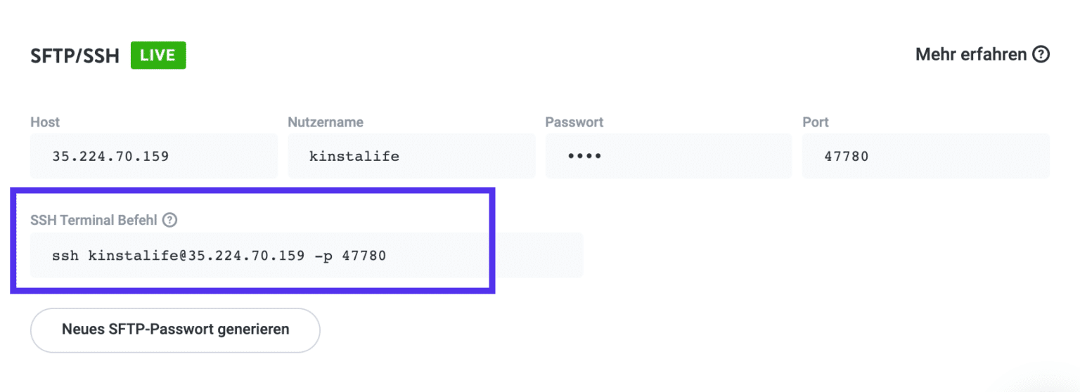 27 comandos populares de SSH para que los usuarios de WordPress empiecen a usarlos en 2025