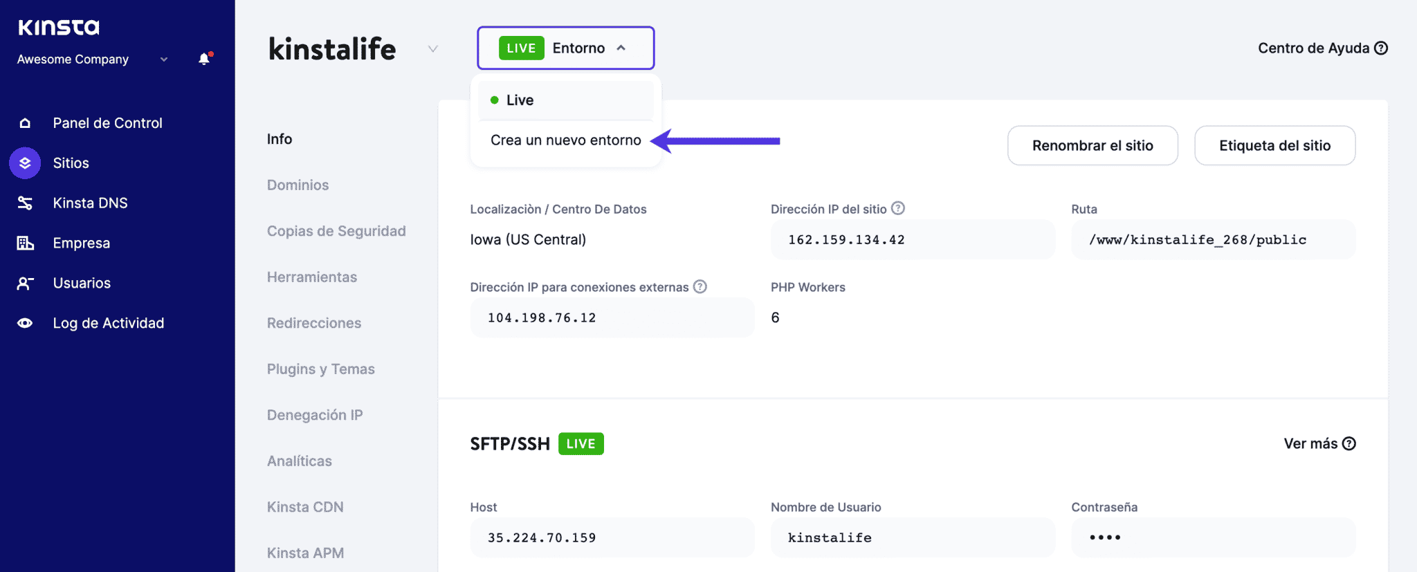 Presentamos el Add-On de Entorno de Staging Premium de Kinsta