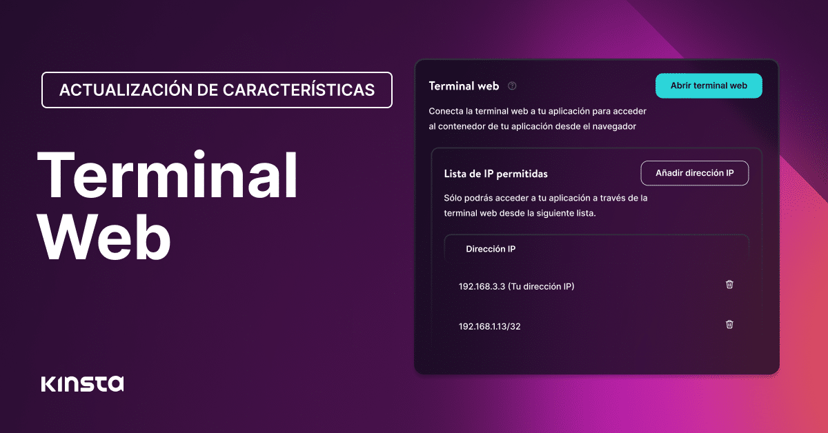 Accede a tu Aplicación a Través de la Nueva Terminal Web - Kinsta®