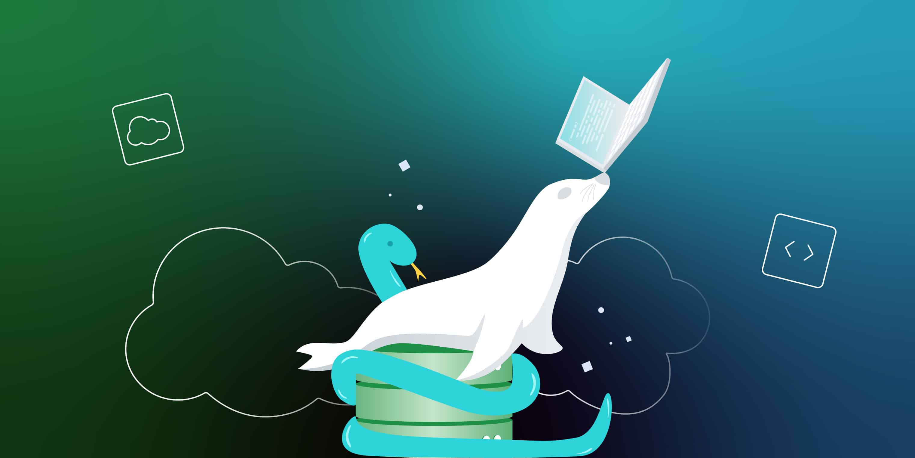 Pourquoi MariaDB est un bon choix pour votre backend Python - Kinsta®