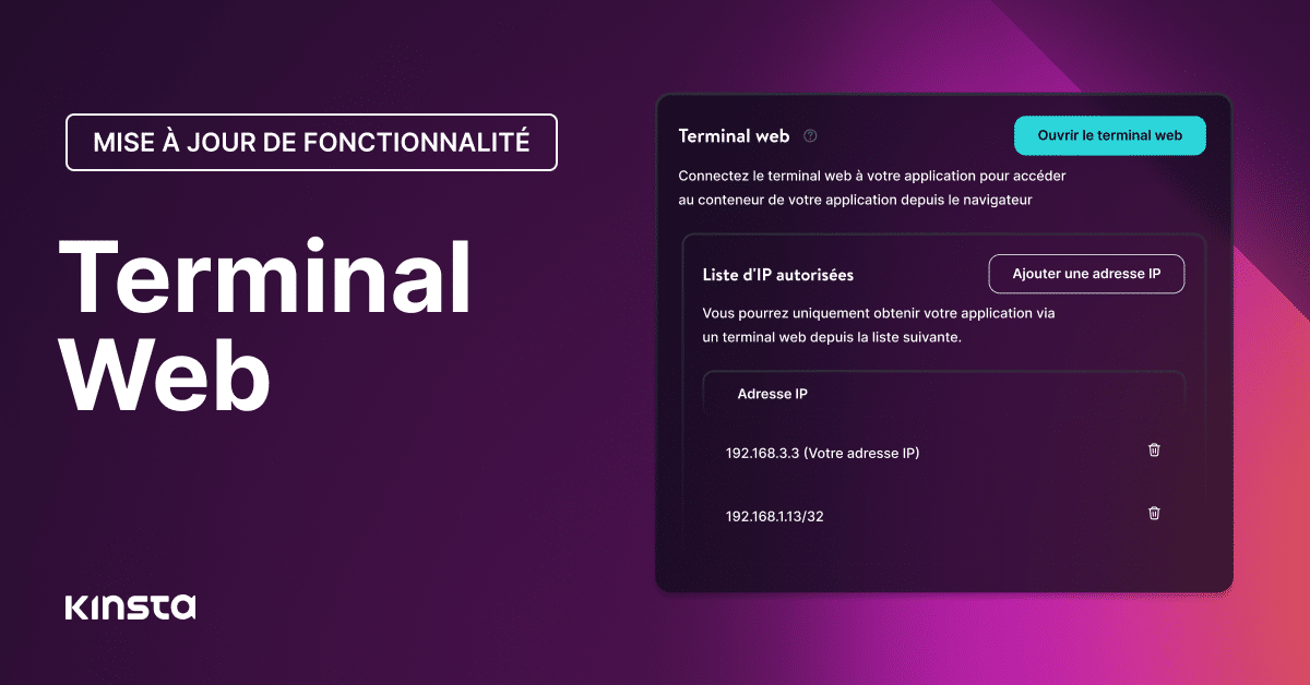 Accéder à la ligne de commande avec le terminal web - Kinsta®