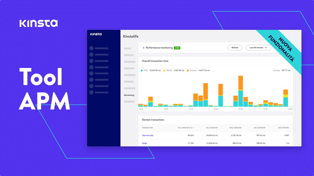Strumento Kinsta® APM - Tool di Monitoraggio delle Applicazioni per ...