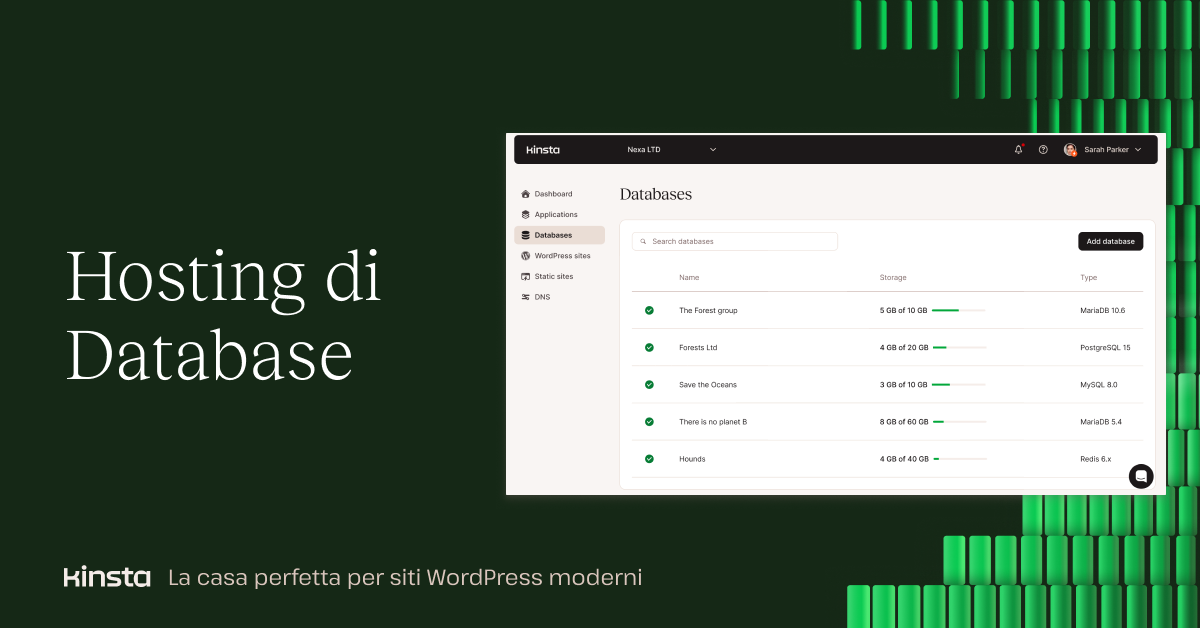 Hosting di Database per Tutti i Tuoi Progetti web - Kinsta®