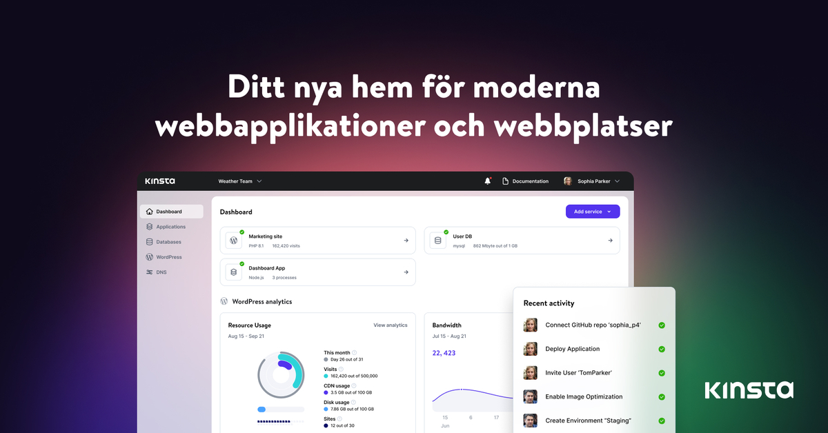 WordPress-plugins - Kinsta®