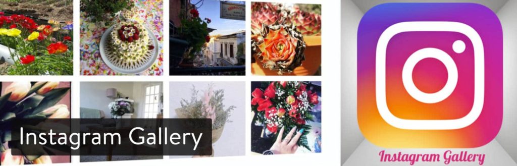 10 Wordpress Instagram Plugins For Displaying Interactive Feeds
