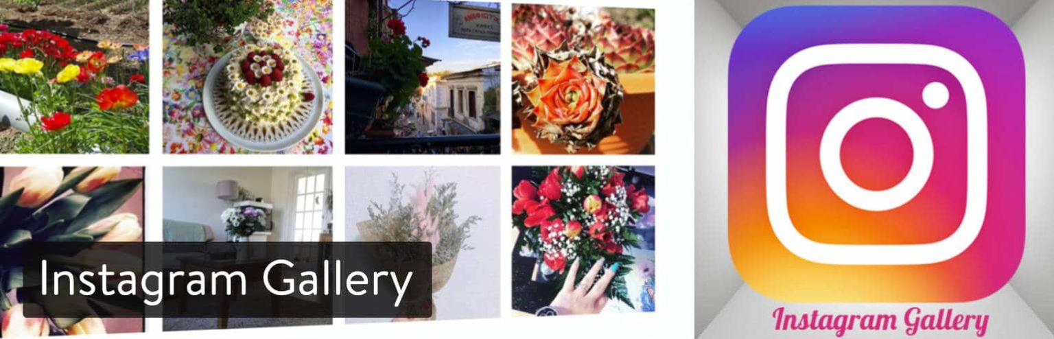 10 WordPress Instagram Plugins for Displaying Interactive Feeds