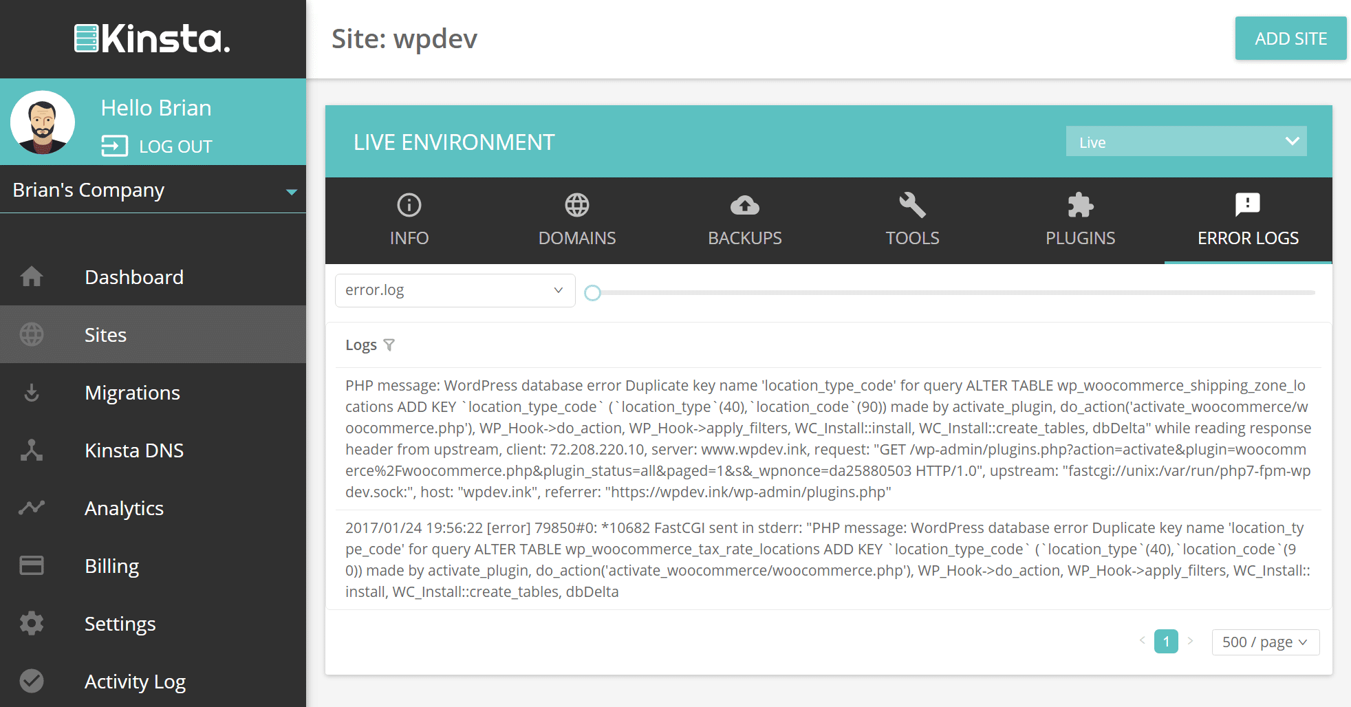 Access And WordPress Error Logs Kinsta