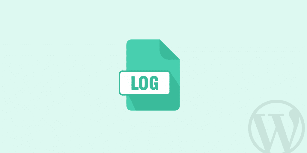 Access And WordPress Error Logs Kinsta