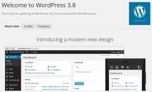 The History of WordPress, its Ecosystem and Community
