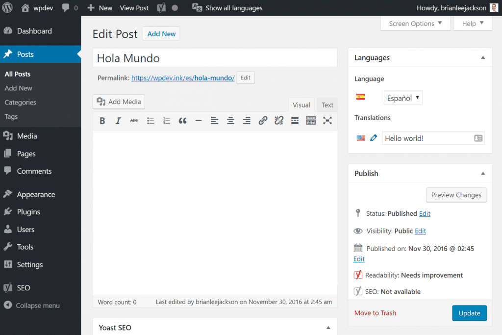 Ultimate WordPress Multilingual Guide - How We Launched 10 Languages