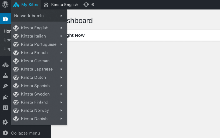 Ultimate WordPress Multilingual Guide - How We Launched 10 Languages