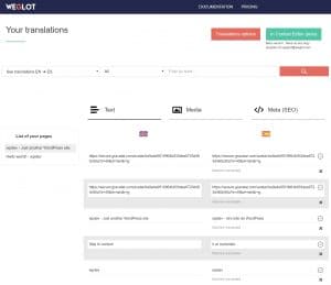 Ultimate WordPress Multilingual Guide - How We Launched 10 Languages