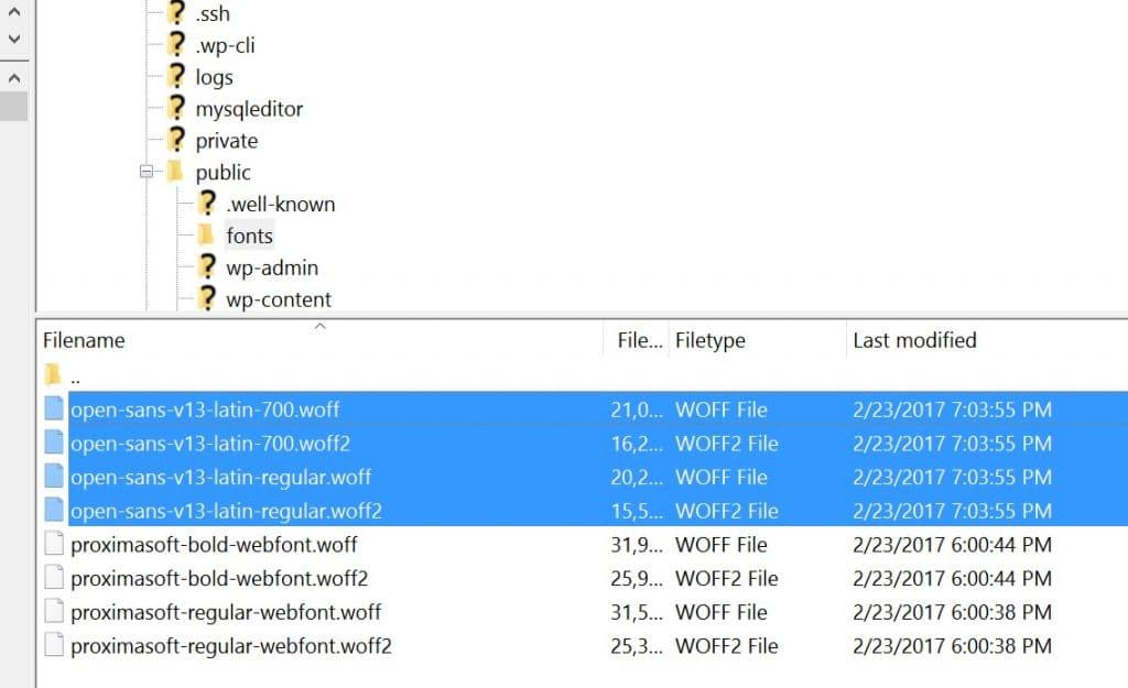 In-Depth Guide on Hosting Local Fonts in WordPress