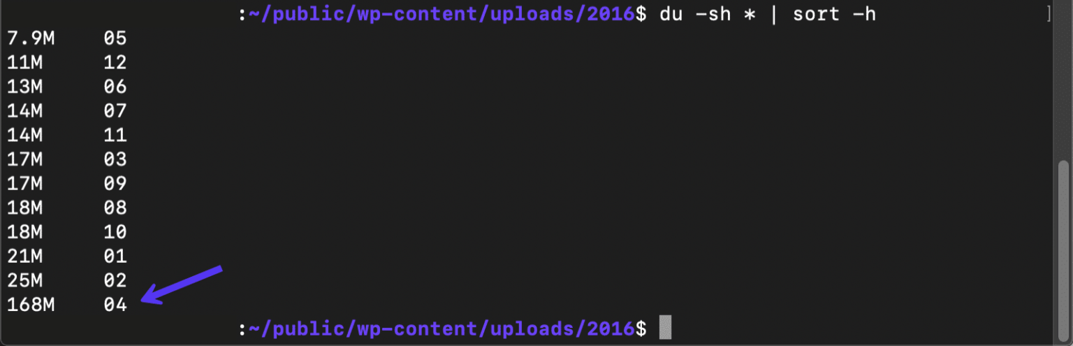 8 Easy Ways To Check Disk Usage In Wordpress Find Large Files And Data