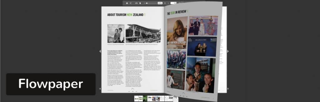 10 Best WordPress PDF Viewer Plugins