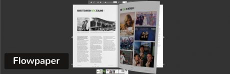 10 Best WordPress PDF Viewer Plugins