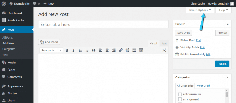 What Is a WordPress Excerpt? (Tips and Tricks) What Is a WordPress Excerpt? (Tips and Tricks)
