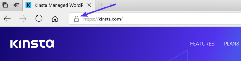 How SSL Works and Why It's Important - Kinsta®