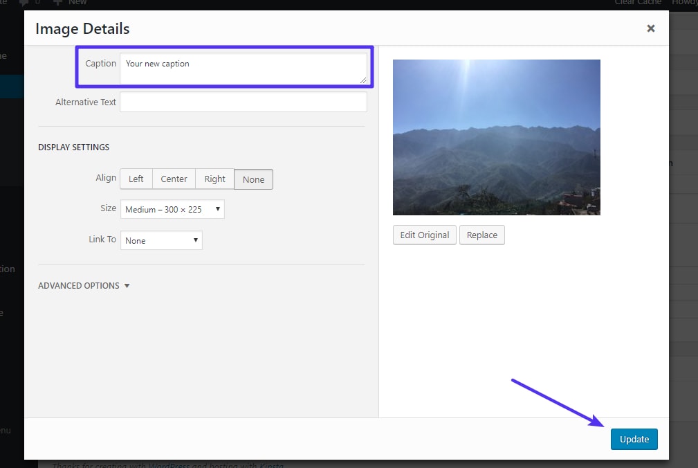 How To Add A WordPress Image Caption Tips And Tricks 
