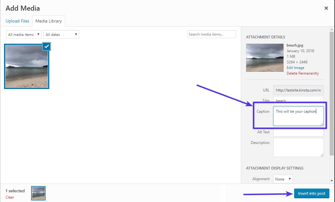 How To Add A WordPress Image Caption Tips And Tricks 