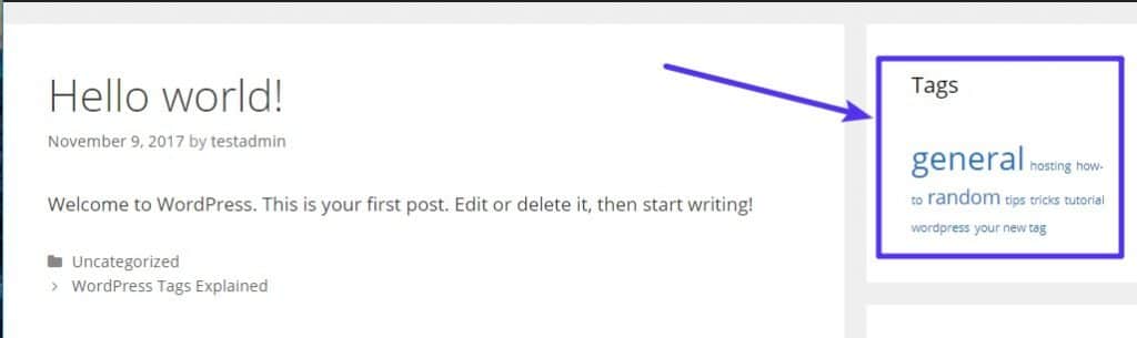 What Are WordPress Tags? WordPress Tags Explained