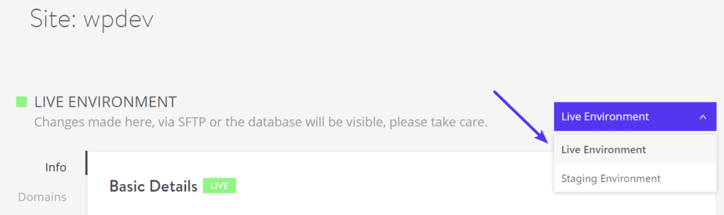How to Use Bedrock and Trellis at Kinsta (WordPress Development) - Easy Cloud Solutions
