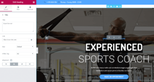 OceanWP: Easily-Customizable and Blazing Fast WordPress Theme