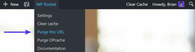 Kinsta and WP Rocket: Now Speeding up WordPress Together