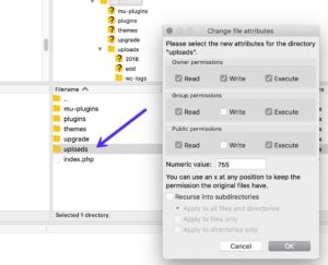 How to Fix the WordPress HTTP Error (Uploading Image to Media Library)