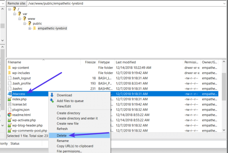 How to Fix a 403 Forbidden Error (11 Methods)