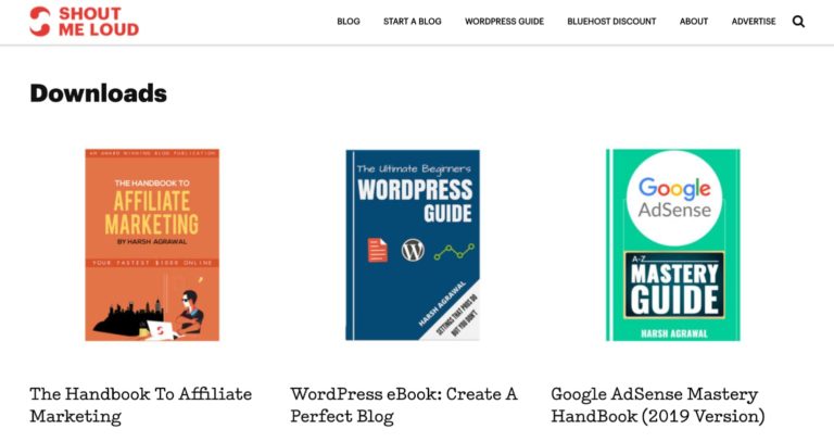 How to Monetize a Blog in 2024 (13 Profitable Ways)