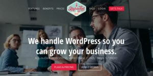 Case Studies - Kinsta®