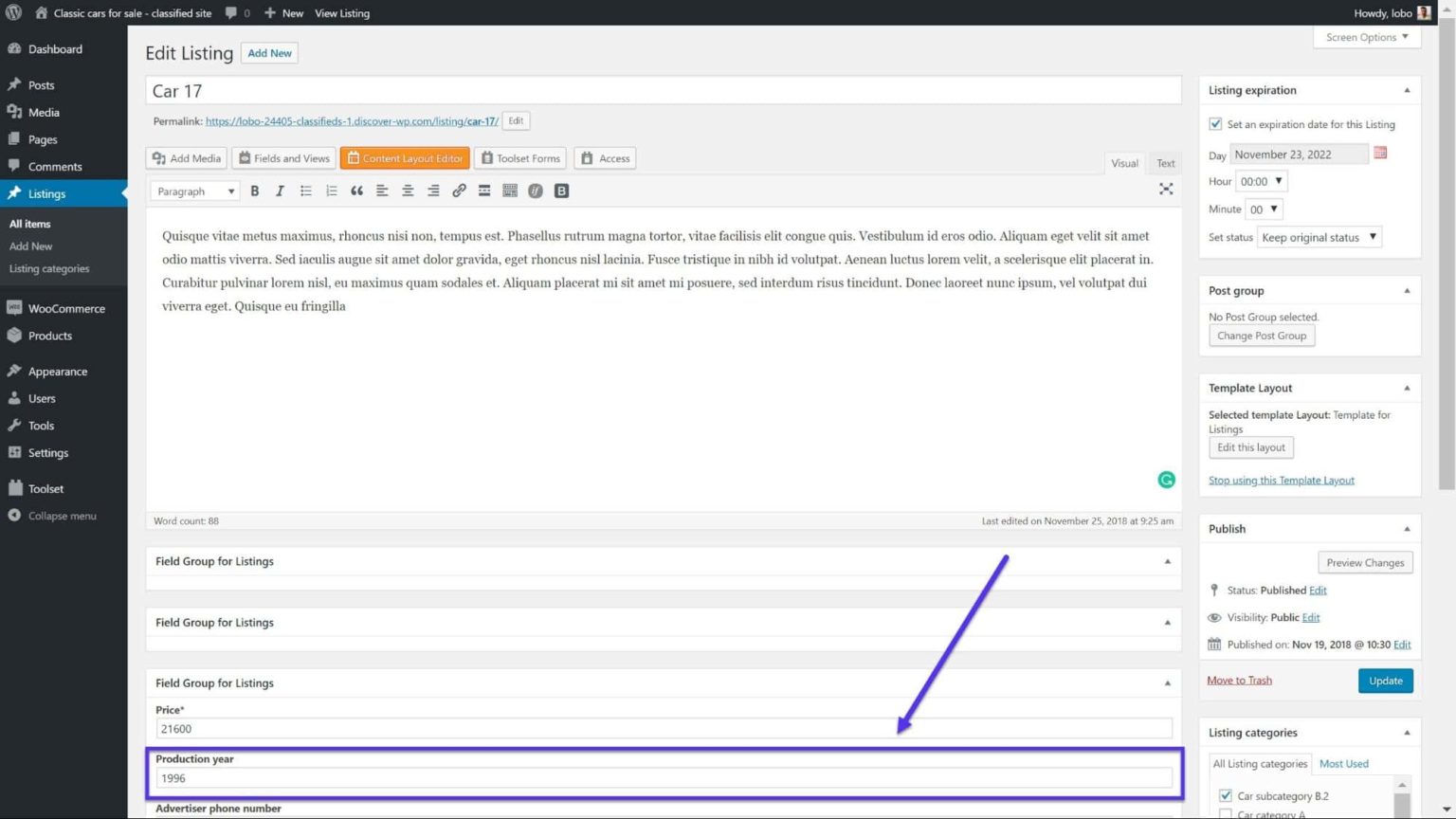 How to Create a Directory Website with WordPress (Full Guide)