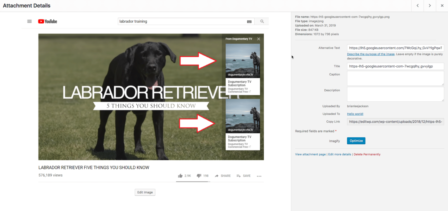 WordPress Custom Post Types: The Guide to Create Them