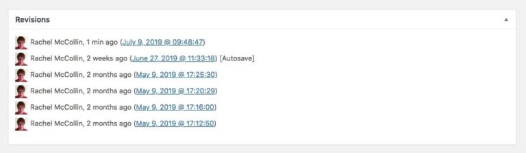 WordPress Custom Post Types: The Guide to Create Them