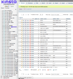WordPress Database: What It Is and How to Access It