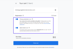 Google Domains Review: Pros vs Cons