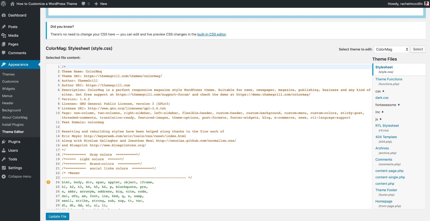 How To Customize Your WordPress Theme Step by Step Ways 
