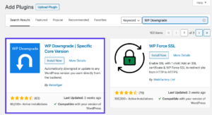 How to Downgrade Your WordPress Site - Kinsta®