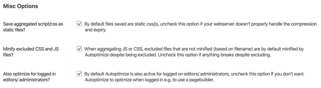 How to Set Up Autoptimize for Your WordPress Site