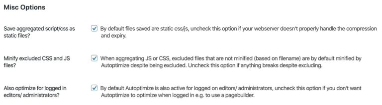 How to Set Up Autoptimize for Your WordPress Site