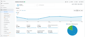 How to Use Google Analytics (Setup, Reporting & More)